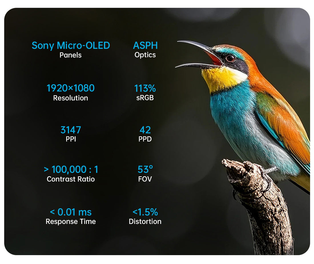 GOOVIS G3X Pro | Professional Version VR Headset for 3D Movies