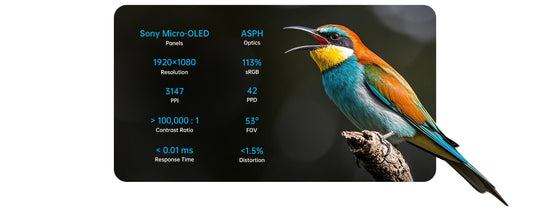 GOOVIS G3X Pro - Blu-ray 3D OLED Headset | 53° FOV, Diopter Adjustment ...